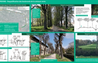 Provins et sa ceinture verte